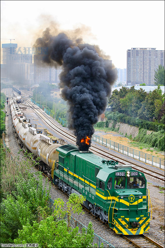 ND5 0309 ND5 0309